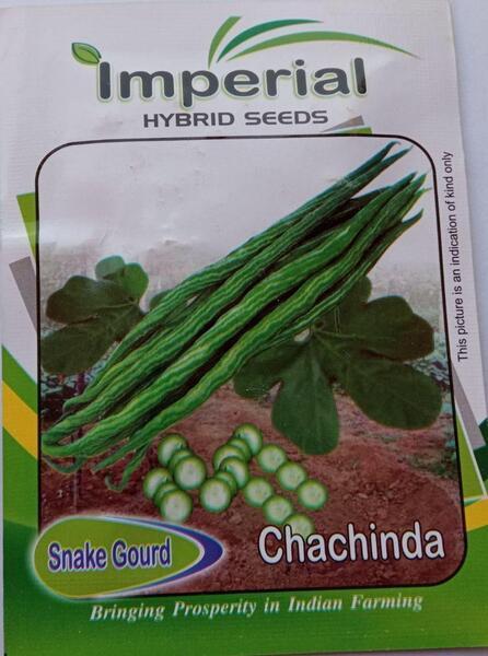 Vegetable Seeds- Snake Gourd Seeds 3 Gram Vegetable Chichinda ...