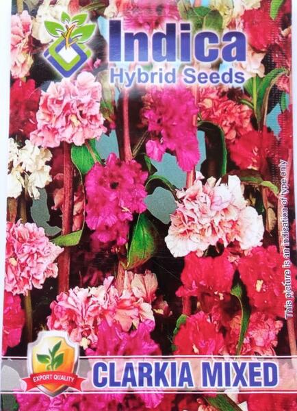 Flower Seeds- Clarkia Mixed Flower Seeds 40 Plus Seeds | Compare and ...