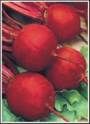 Vegetable Seeds - 1 Packet Beetroot Shankar Seeds 100% High Germination ...