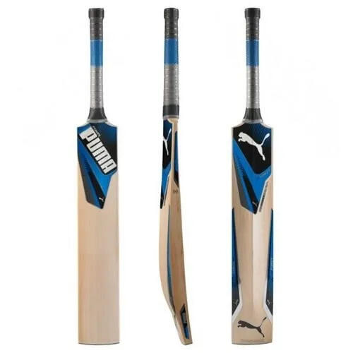 Puma players Auto Kashmir Willow cricket bat | Compare and buy in Best ...